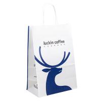 China Custom Kraft Handle Paper Bags 100gsm 150gsm Eco Friendly Twisted Handle for Gift Restaurant Grocery for sale