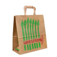 China Custom Kraft Paper Handle Bags 8 Color Flexo Printing Eco Friendly Biodegradable for sale