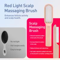 China Portable Rechargeable Hair Growth Brush with 660nm Red Light Therapy Technology for sale