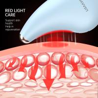 China 5W Red Light Facial Massager Heat And Anti Aging Vibration Massage Device for sale