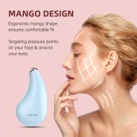 China 5W Red Light Facial Massager Heat And Anti Aging Vibration Massage Device for sale