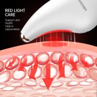 China Heating Vibration Facial Massager 5W Red Light Face Massager Tool Vibrating for sale