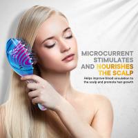 China 450mAh 3.7V Rechargeable Hair Brush EMS 450nm Blue LED Therapy Comb for sale
