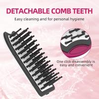 China Anti Static Ionic Hair Brush Blue Light Negative Ion Brush For Scalp Health for sale