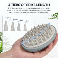 China CE FCC RoHs Soft Bristle Hair Brush Hair Wash Massage Brush For Wet And Dry Use for sale