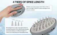 China CE FCC RoHs Soft Bristle Hair Brush Hair Wash Massage Brush For Wet And Dry Use for sale