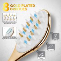 China Gold EMS Microcurrent Hair Brush 5V 1A Rechargeable LED Therapy Comb for sale