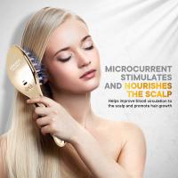 China Gold EMS Microcurrent Hair Brush 5V 1A Rechargeable LED Therapy Comb for sale