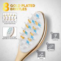 China 450nm 650nm LED Light Therapy Hair Brush Massage EMS Hair Brush Matte Gold for sale