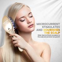 China 450nm 650nm LED Light Therapy Hair Brush Massage EMS Hair Brush Matte Gold for sale