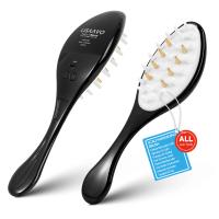 China Electric Hair Brush with 650nm Red Light Therapy and EMS Microcurrent Technology Featuring Type-C Charging for sale