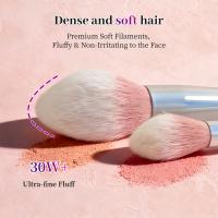 China Dreamy Rainbow Makeup Brush Set with Rainbow Electroplated Handles, 300,000+ Ultra-Fine Synthetic Fibers, and Multi-Functional Cosmetic Brush Kit for sale