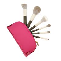 China 6-Piece Ultra-Portable Professional-Grade Mini Makeup Brush Set with Travel Pouch for sale