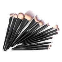 China 14Pcs Minimalist Solid Wood Handle Makeup Brush Set with Reinforced Aluminum Tube and Ultra-Soft Nylon Bristles for sale