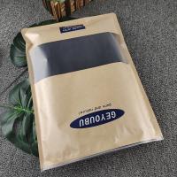 China Custom Frosted Polyethylene Zipper Clothing Bag 20 Micron Resealable Plastic T-Shirt Bag for sale