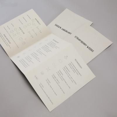 China Custom Mini Booklet Printing Service - Tri-Fold Instruction Manuals with High-Quality Cardstock and Glossy Paper Options for sale