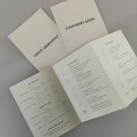 China Custom Folded Instruction Booklet Printing - 4x6 to 11x17 Inch Sizes with 80-200 GSM Cardstock for sale