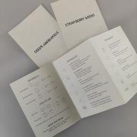 China Customized Clothing Instruction Manual with Tri-Fold Design and Matte Lamination Surface - Offset Printing & Saddle Stitching for sale