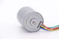 China BL2838 Brushless 24V 12V DC Motor 4000 Rpm High Torque Small Bldc Motor for sale