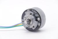 China DBL3825 12V 24V BLDC Motor High Torque Fascial Gun Mini DC Brushless Motor for sale