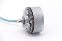 China DBL3825 12V 24V BLDC Motor High Torque Fascial Gun Mini DC Brushless Motor for sale