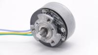 China DBL3825 12V 24V BLDC Motor High Torque Fascial Gun Mini DC Brushless Motor for sale