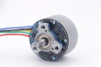 China DBL3830O Motor 12v 3500rpm 38mm Outrunner Brushless Motor For Mini Massager Gun for sale