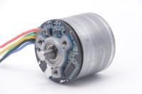 China 40mm 24V Brushless DC Motor BLDC 3500 Rpm DC Motor For Fascial Gun for sale