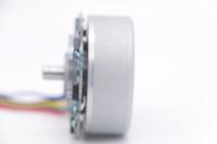 China DBL4825 12V 48mm Outer Rotor BLDC Motor For Fascia Gun Muscle Massager Gun for sale