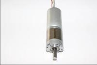 China Brushless 36mm High Torque Planetary Gear Motor 20 Watt 45 rpm 3650 Brushless Motor for sale