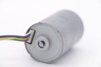 China DBL3650 12V 18V 24V Brushless DC Motor 36mm BLDC Electric Motor For household appliances for sale