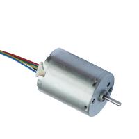 China Internal Drive 12V 6000 Rpm DC Motor 24mm Brushless BLDC Motor PWM FG Control for sale
