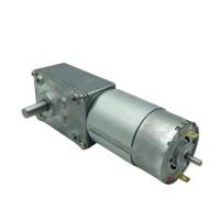 China High Torque Micro DC Worm Gear Motor Hollow Shaft Brush 12V DC Electric Gear Motor for sale