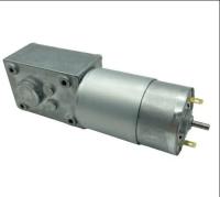 China High Torque Micro DC Worm Gear Motor Hollow Shaft Brush 12V DC Electric Gear Motor for sale