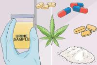 China Disposable Urine Sample Test Strips , Urine Analysis Dipstick At Home for sale