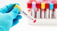 China Professional Dengue Ns1 Antigen Test Kit IgG / IgM Antibody Rapid Test Cassette for sale