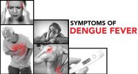 China CE Mark Diagnostic Test Kits Dengue Ns1 Rapid Test , WB / S / P Avaliable for sale