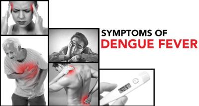 China CE Mark Diagnostic Test Kits Dengue Ns1 Rapid Test , WB / S / P Avaliable for sale