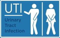 China Disposable Home Urine Test Kit , Urine Infection Test Strips For Detecting Leukocytes / Nitrite for sale