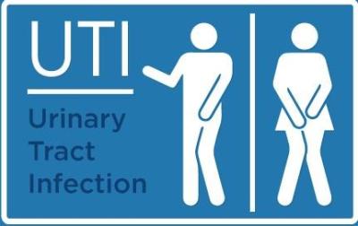 China Disposable Home Urine Test Kit , Urine Infection Test Strips For Detecting Leukocytes / Nitrite for sale