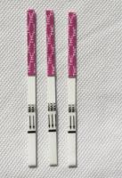 China Accurate Analysis Urine Drug Test Kits / Dipctick For Employee Testing for sale