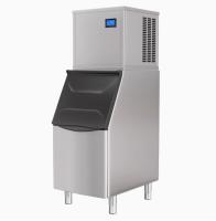 China BLG Granular Chewable Ice Maker 300kg/24H Commercial Fish Nugget Machine with Stainless Steel Construction for sale