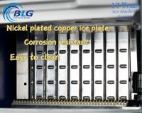 China BLG 220V Commercial Ice Making Machine 100Kg Daily Production with 30-210Kg Storage Capacity for sale