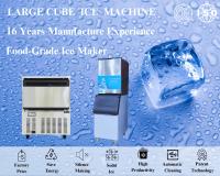 China BLG 220V Commercial Ice Machine 230kg Daily Production Air-Cooled Big Cube Ice Maker for sale