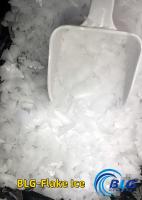 China BLG 1.5 Ton Stainless Steel Air-Cooled Flake Ice Machine for Concrete Cooling | 220V 470kg Storage for sale