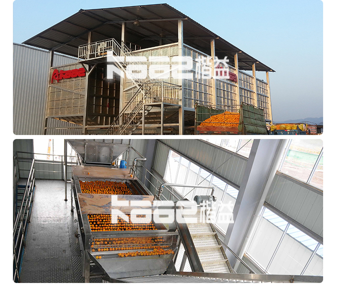 Turnkey Project NFC orange juice processing line/NFC citrus juice production line/plant with food grade material 4