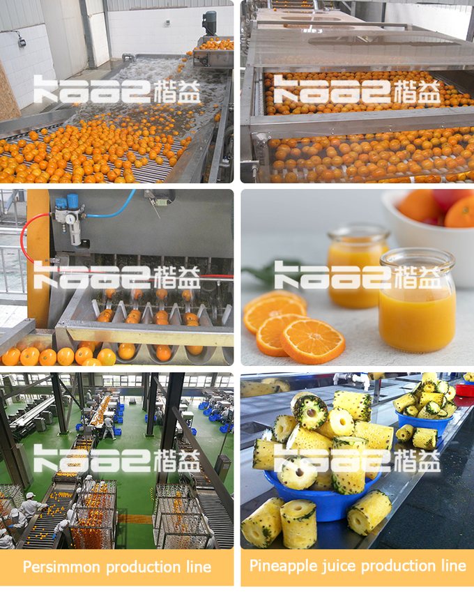 Turnkey Project NFC orange juice processing line/NFC citrus juice production line/plant with food grade material 5