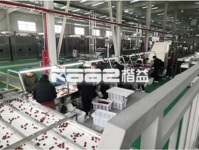 China Industrial stainless steel food dehydrated belt dryer/convetor dryer for SAP/Synthetic rubber/Fiber/Nuts and seeds for sale