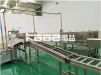 China Turnkey Project Automatic Strawberry Berry Blueberry Production Processing Plant Machines Equipment for sale