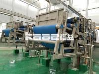 China Turnkey Project Automatic Strawberry Berry Blueberry Production Processing Plant Machines Equipment for sale